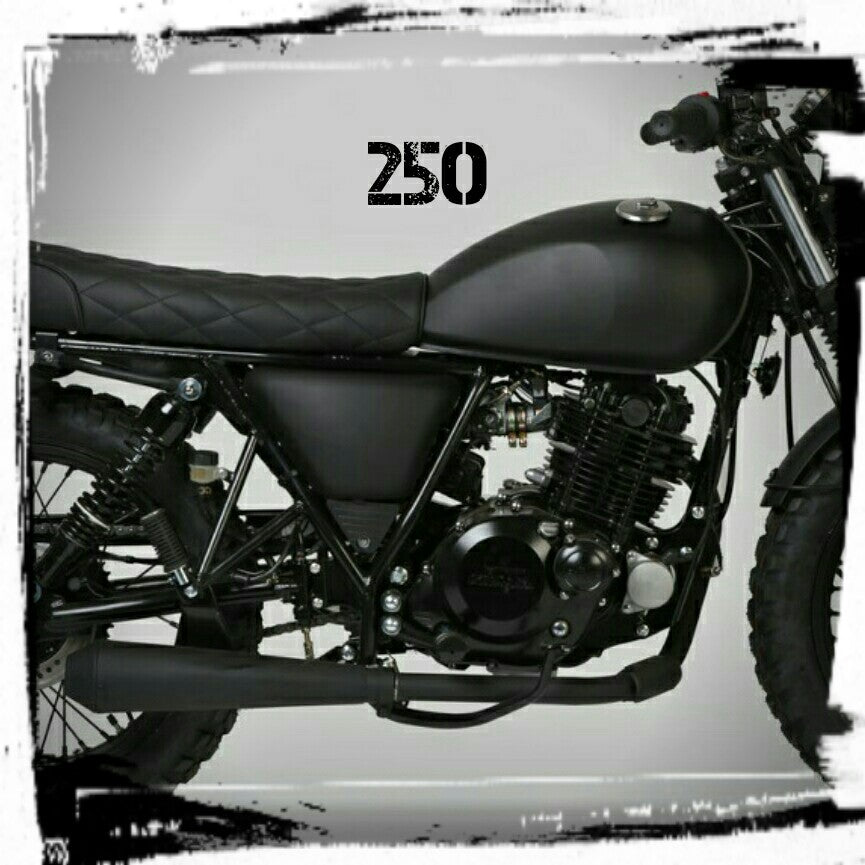 Mutt 250 2017+ – RBMCSTORE