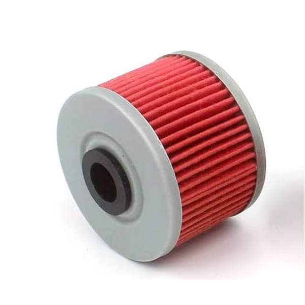 Oil Filter (Maverick 250 & Hero 250) – RBMCSTORE