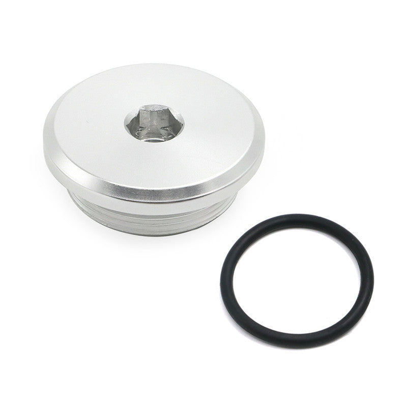 Left Crankcase Plug (silver) 250cc engines – RBMCSTORE